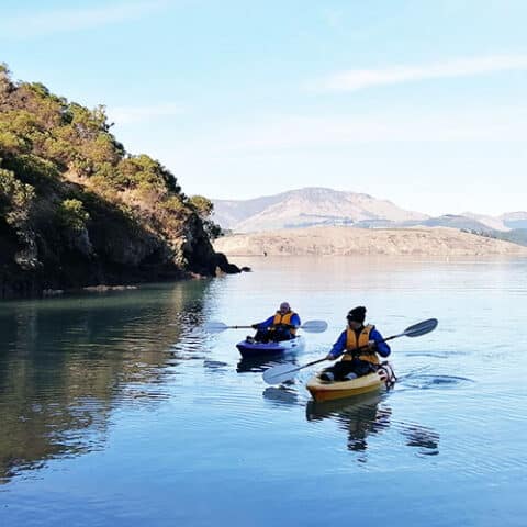 Workplace Wellbeing - Adventure Specialties Trust