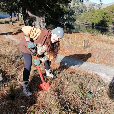 Workplace Wellbeing - Adventure Specialties Trust