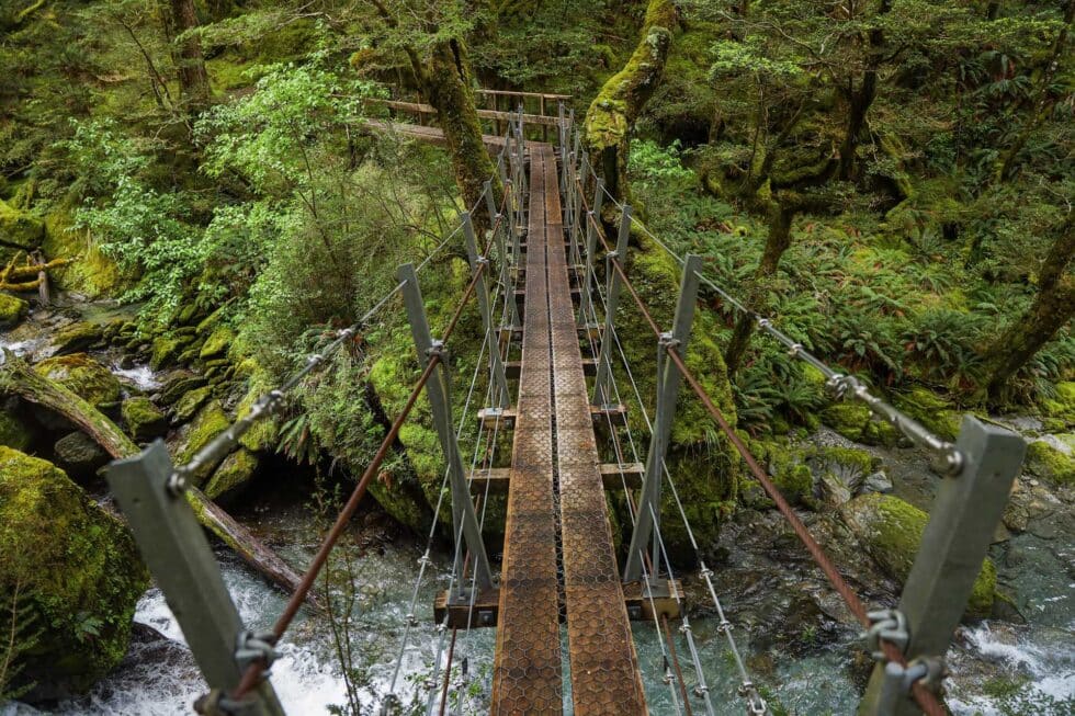 Register Your Interest - Revive - Adventure Specialties Trust